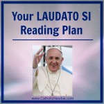 How to Read Pope Francis' Laudato Si - A Catholic Newbie